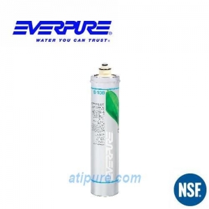 Everpure® S100 Replacement Cartridge | Aqua Technologies Inc. | Air and ...